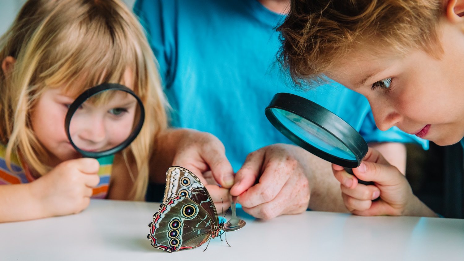 11 Science Resources and Activities For Parents | Services For Education