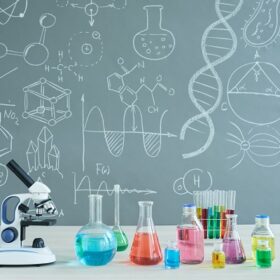 KS1 Training Courses and Support - Services For Education